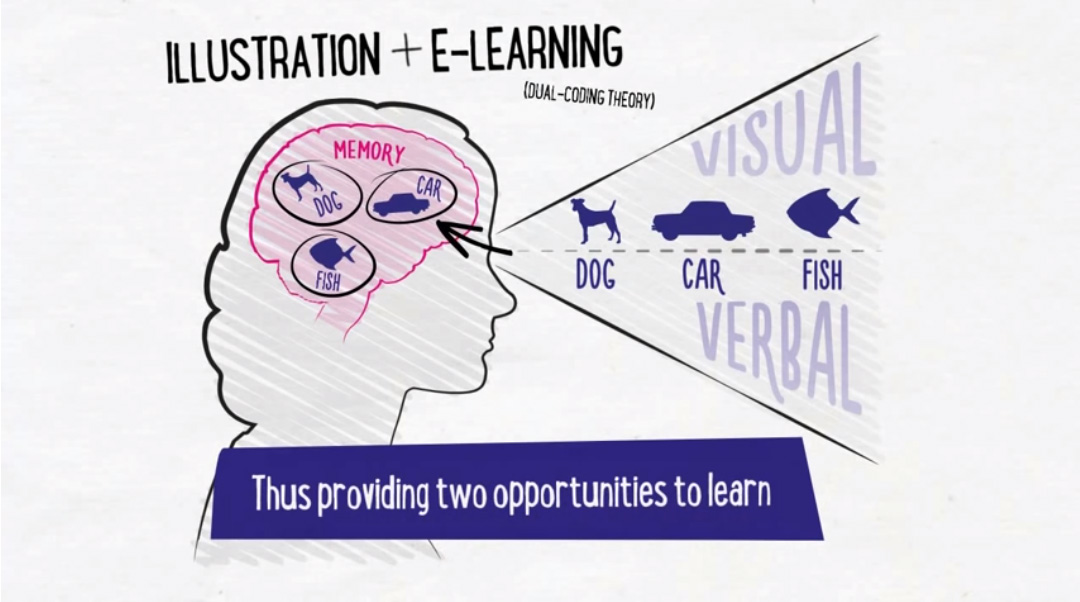 eLearning Portfolio : Design, Development : 4pt Limited