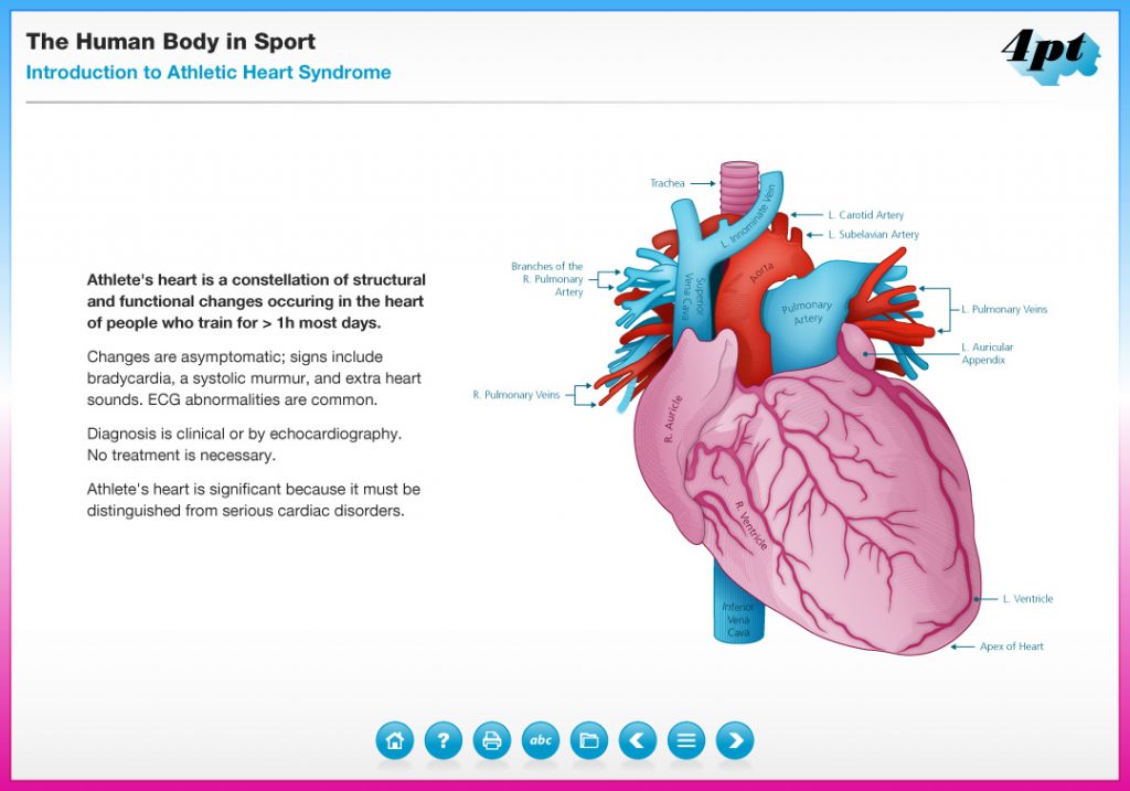 Human Body in Sport : 4pt Limited